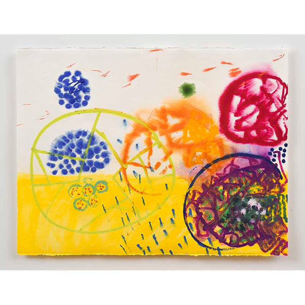 'Garden of Joy' artist Angus de Lange NZ – Railway Street Gallery + Studios