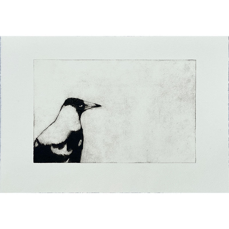 'The Observer' artist Catherine Macdonald NZ – Railway Street Gallery ...