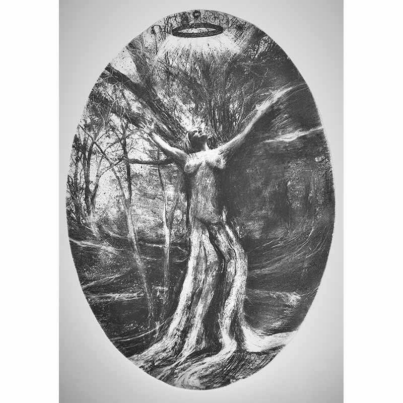 'Bonus Eventus' by artist printmaker Prue McDougall New Zealand ...